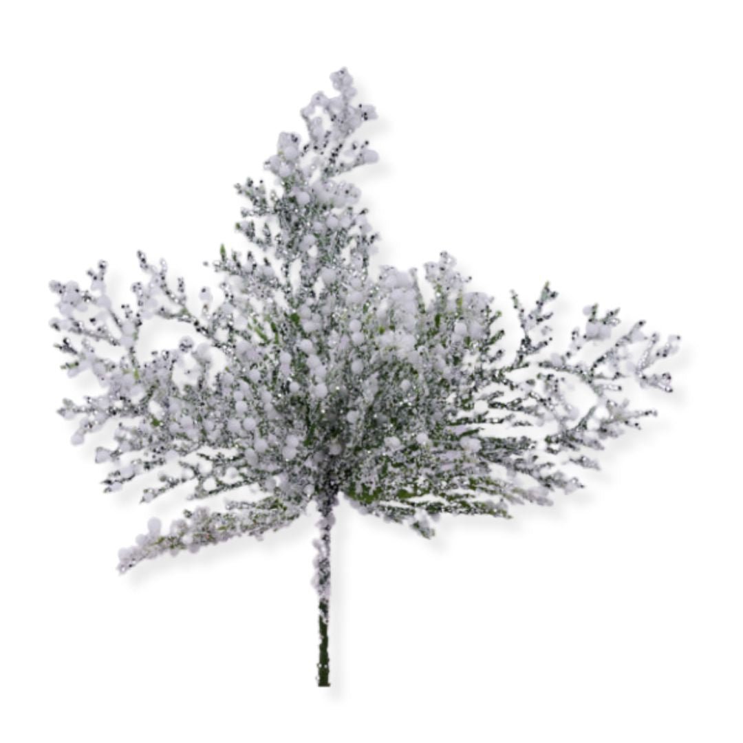 Snow Arborvitae Pick – My Christmas